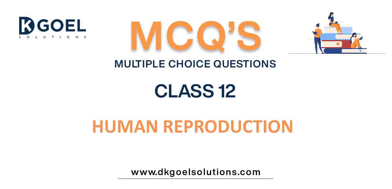 MCQ Questions Class 12 Biology Human Reproduction with answers
